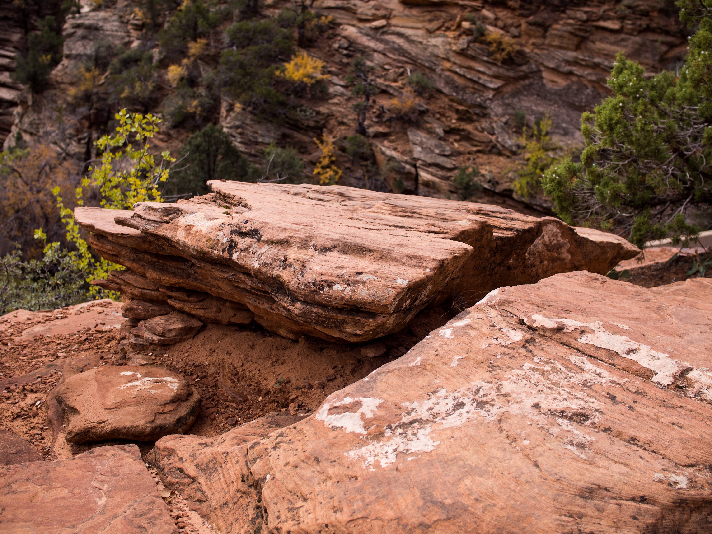 Quickly switching from Powershell to Bash using WSL