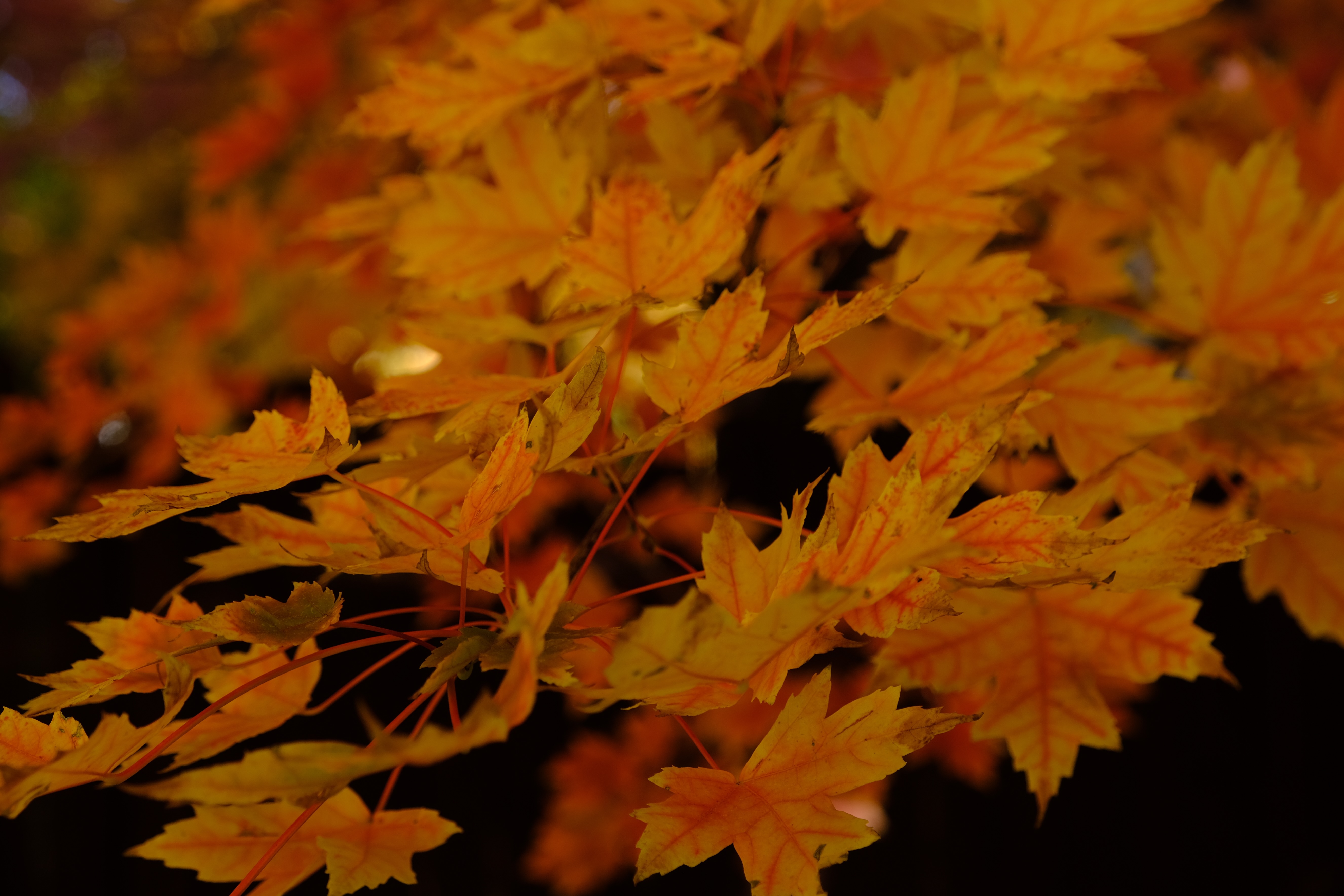 How to write Python on an iPad